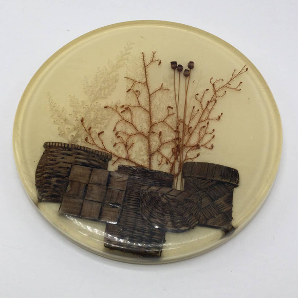 unknown | Accents | Vintage Lucite Resin Trivet Hot Plate Dried Flowers ...